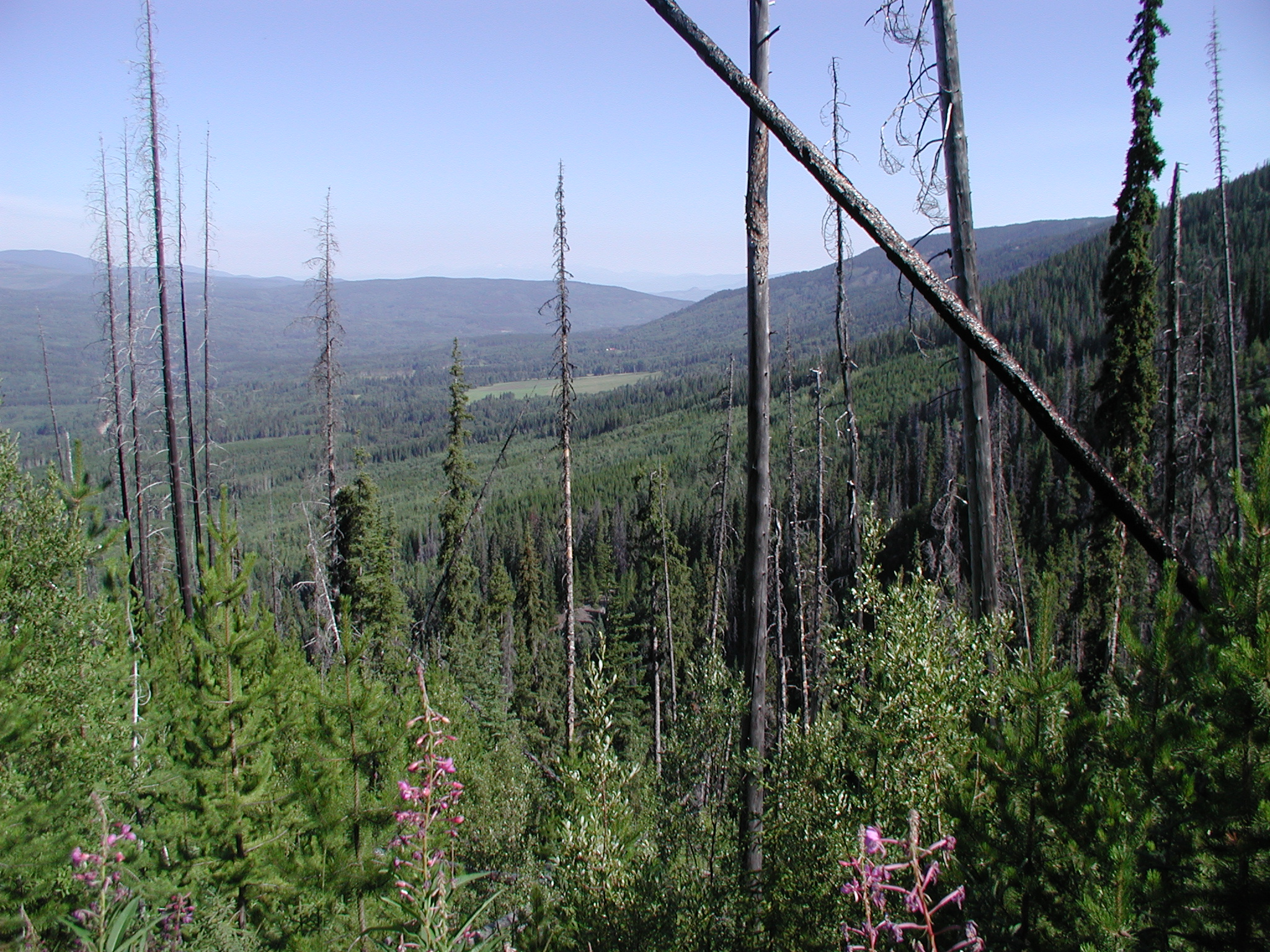 JD Project – Sun Summit Minerals